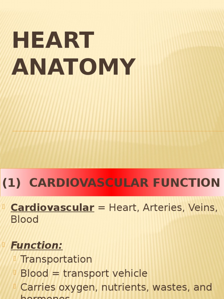 Heart | PDF
