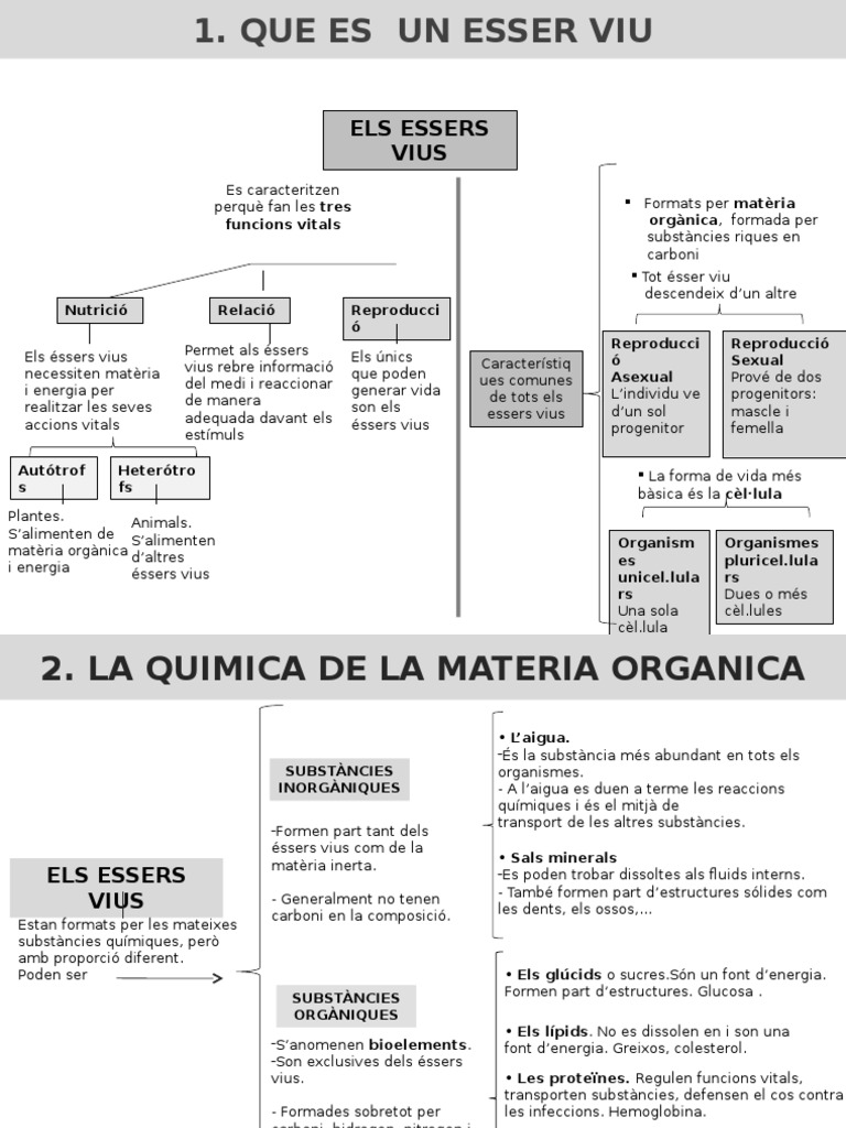 Esquema Els Essers Vius | PDF