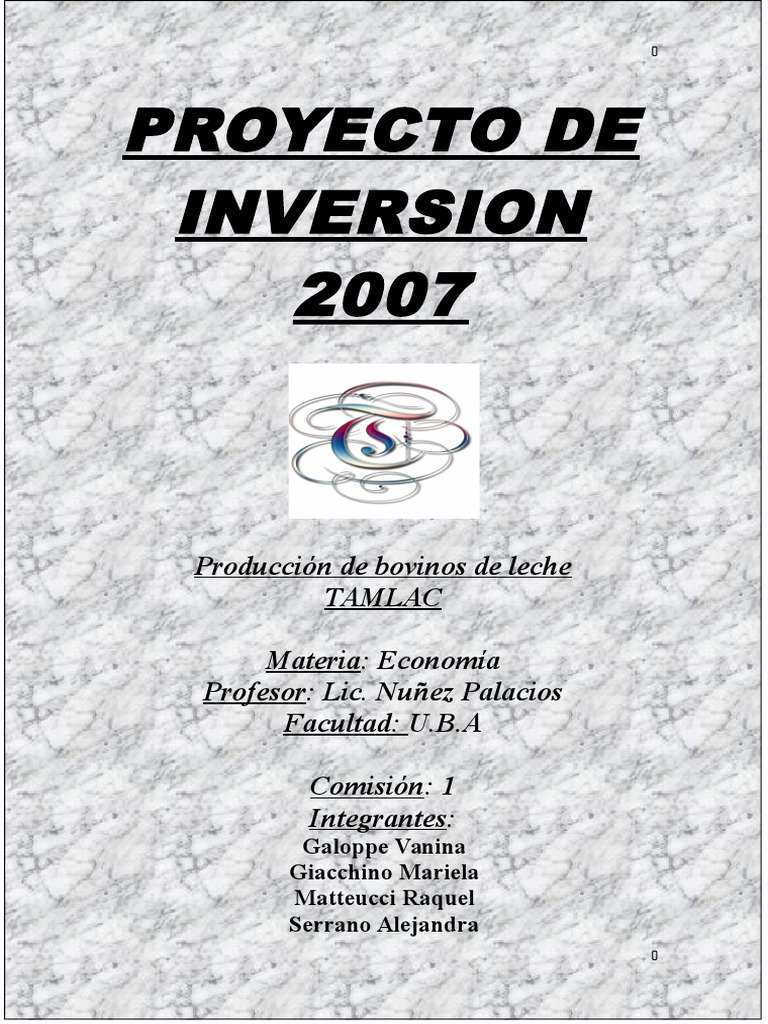 Ejemplo de Proyecto de Inversion | PDF | Leche | Crecimiento económico