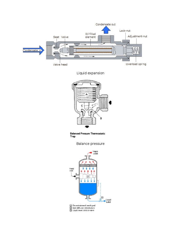 Liquid Expansion | PDF