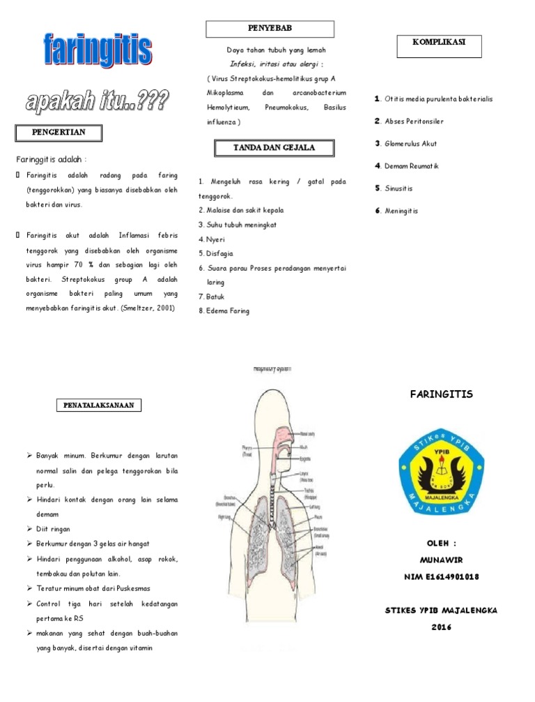 LEAFLET Faringitis | PDF