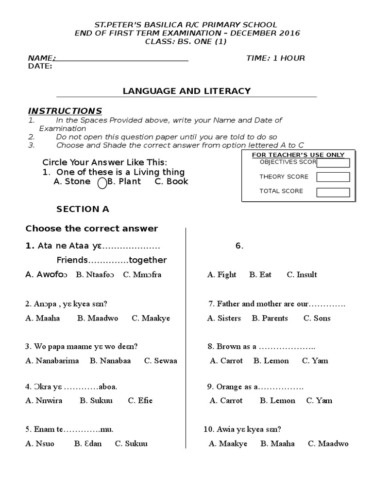 Language and Literacy Exam Paper | PDF
