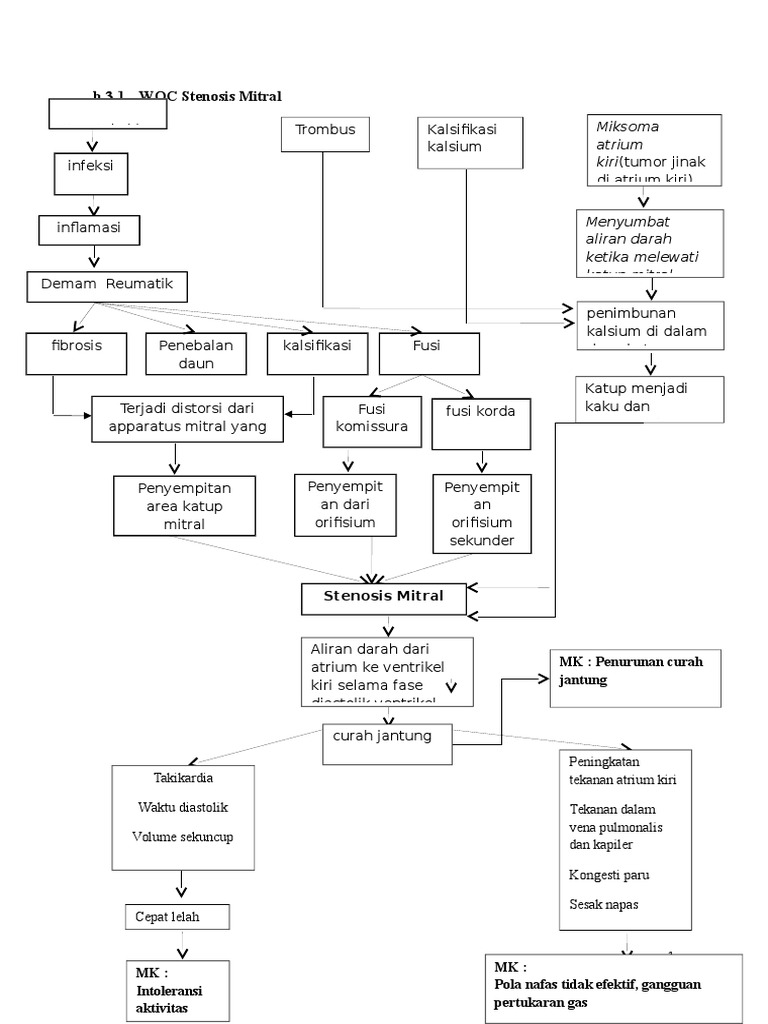 b.3.1 WOC Stenosis Mitral: Miksoma Atrium Kiri (Tumor Jinak | PDF