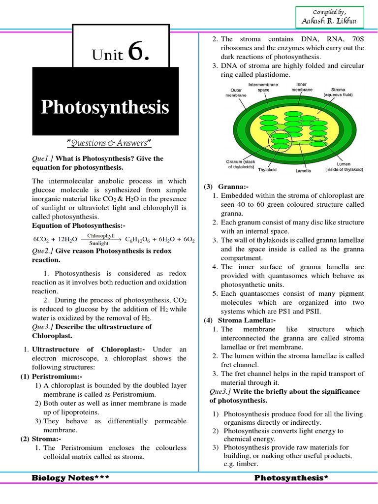 Photosynthesis: Questions & Answers | PDF | Photosynthesis ...