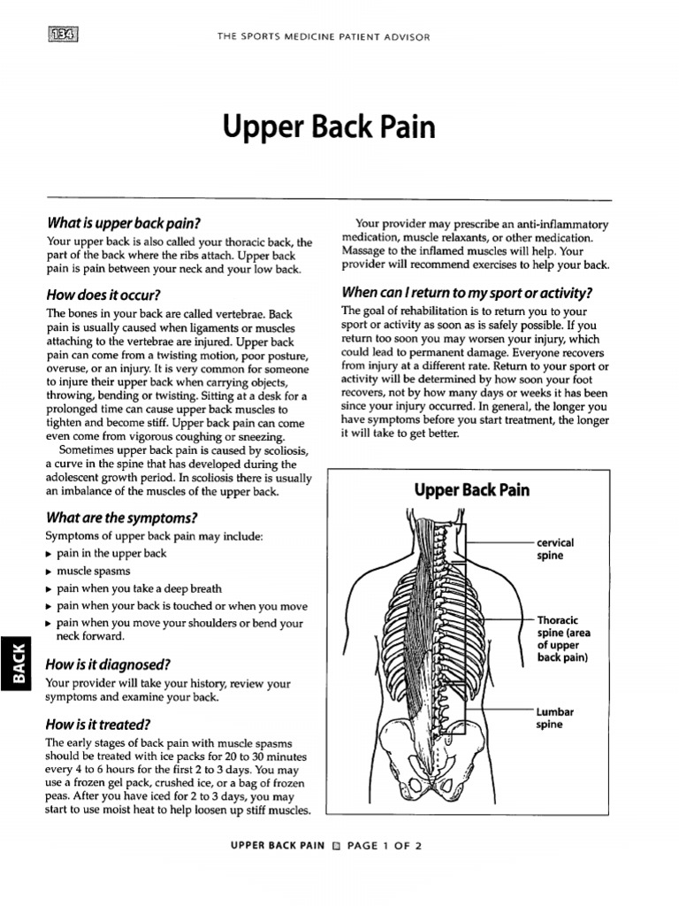 Upper Back Exercises | PDF | Back Pain | Scoliosis