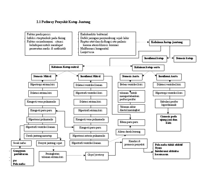 Pathway Penyakit Katup Jantung | PDF
