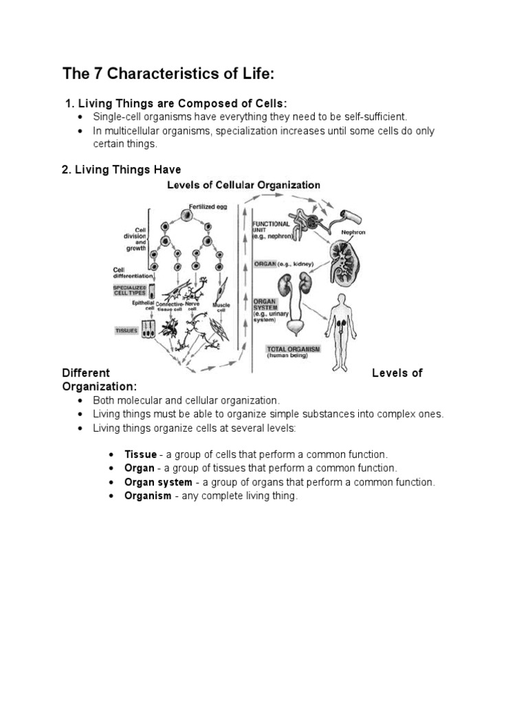 The 7 Characteristics of Life