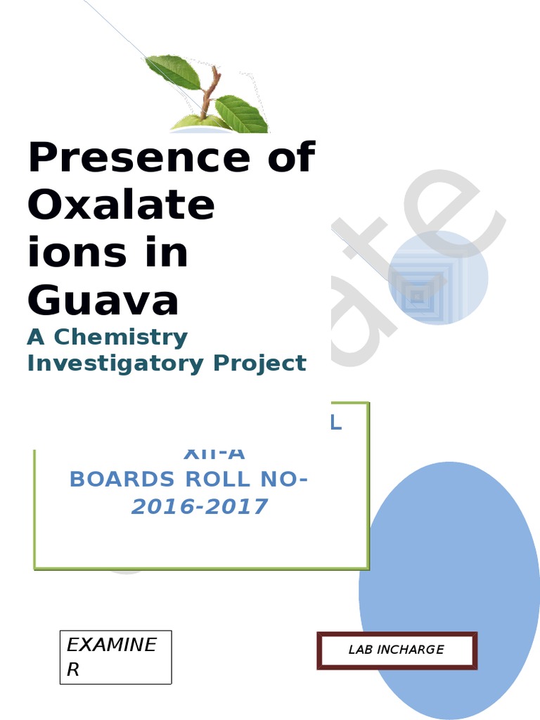 Oxalate Ion | PDF | Titration | Chemistry