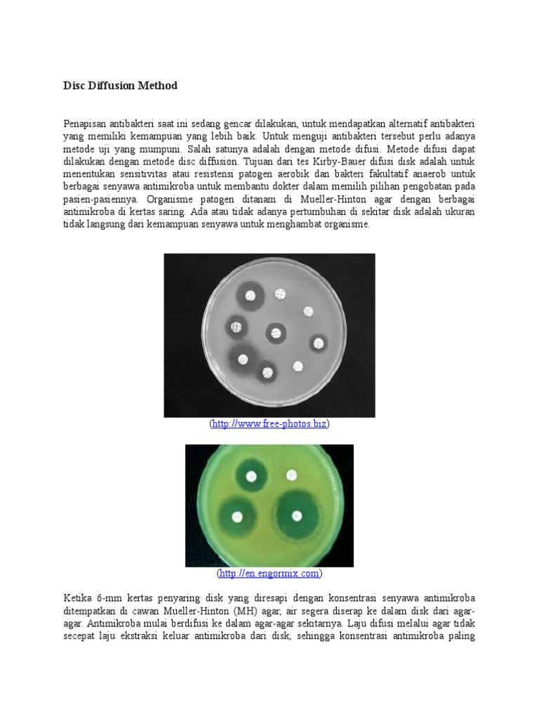 Disc Diffusion Method | PDF