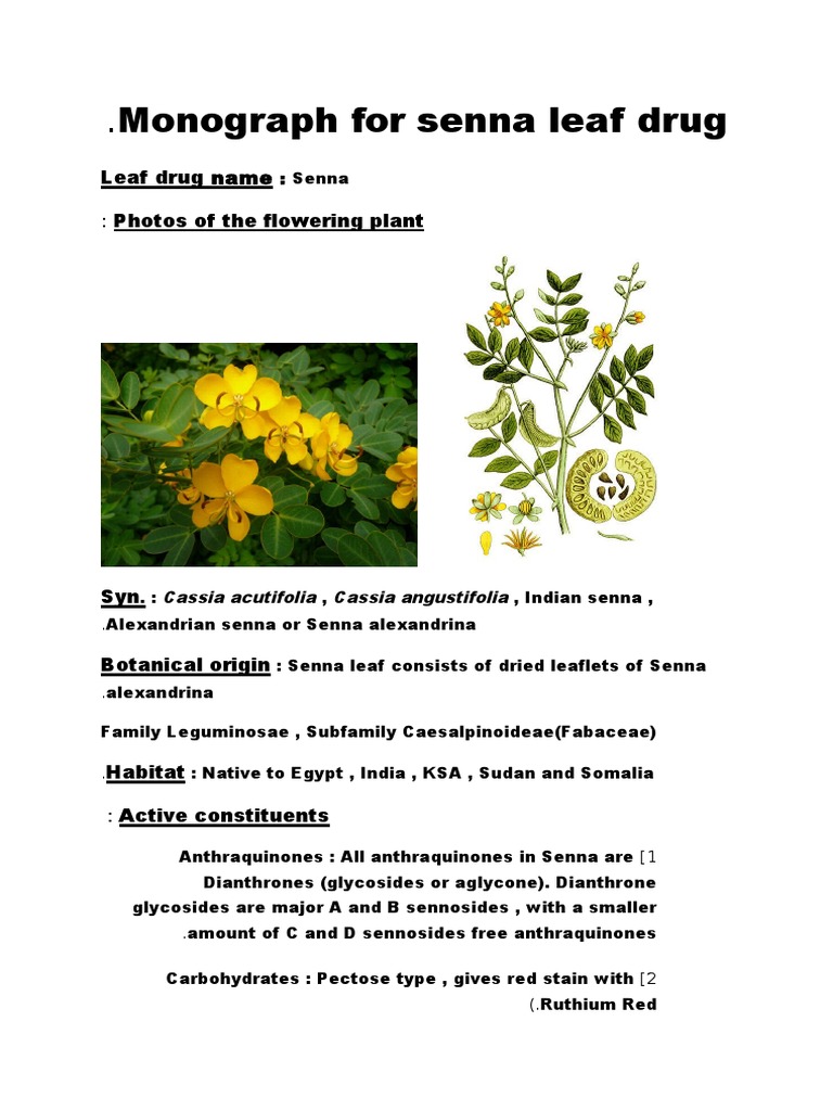 Monograph For Senna Leaf Drug | Download Free PDF | Nausea | Drugs