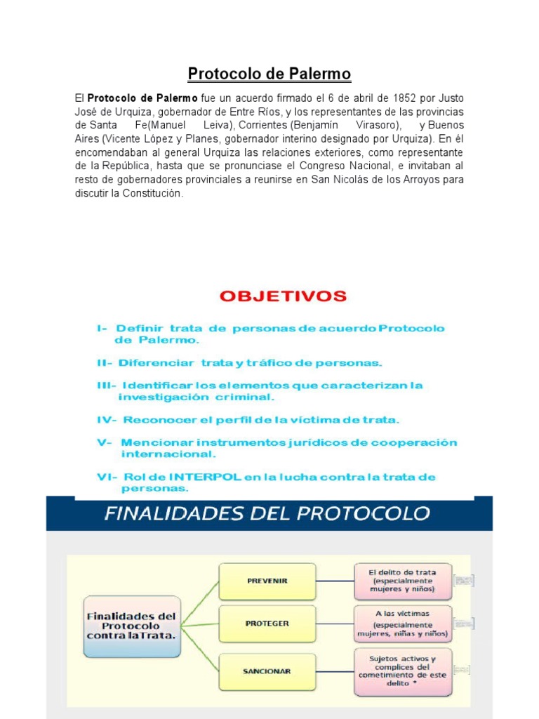 Protocolo de Palermo | PDF | Historia
