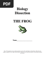Lab Report - Frog Dissection | PDF | Frog | Anatomy