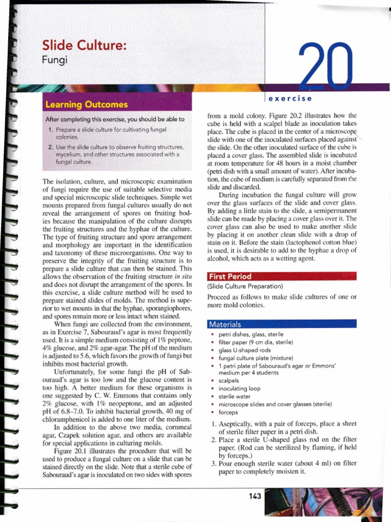 Fungus Slide Culture Lab | Download Free PDF | Fungus | Growth Medium