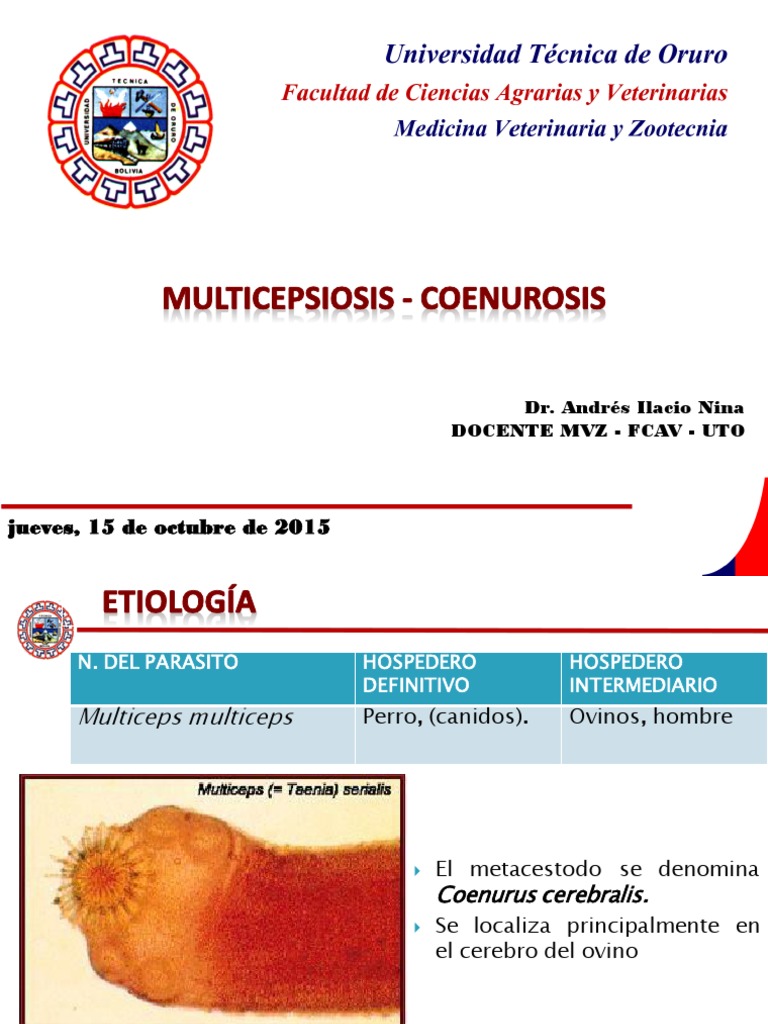 Multicepsiosis - Coenurosis | PDF | Sistema nervioso central | Cerebro