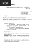 Partes Del Paramecio | PDF | Bioquímica | Química