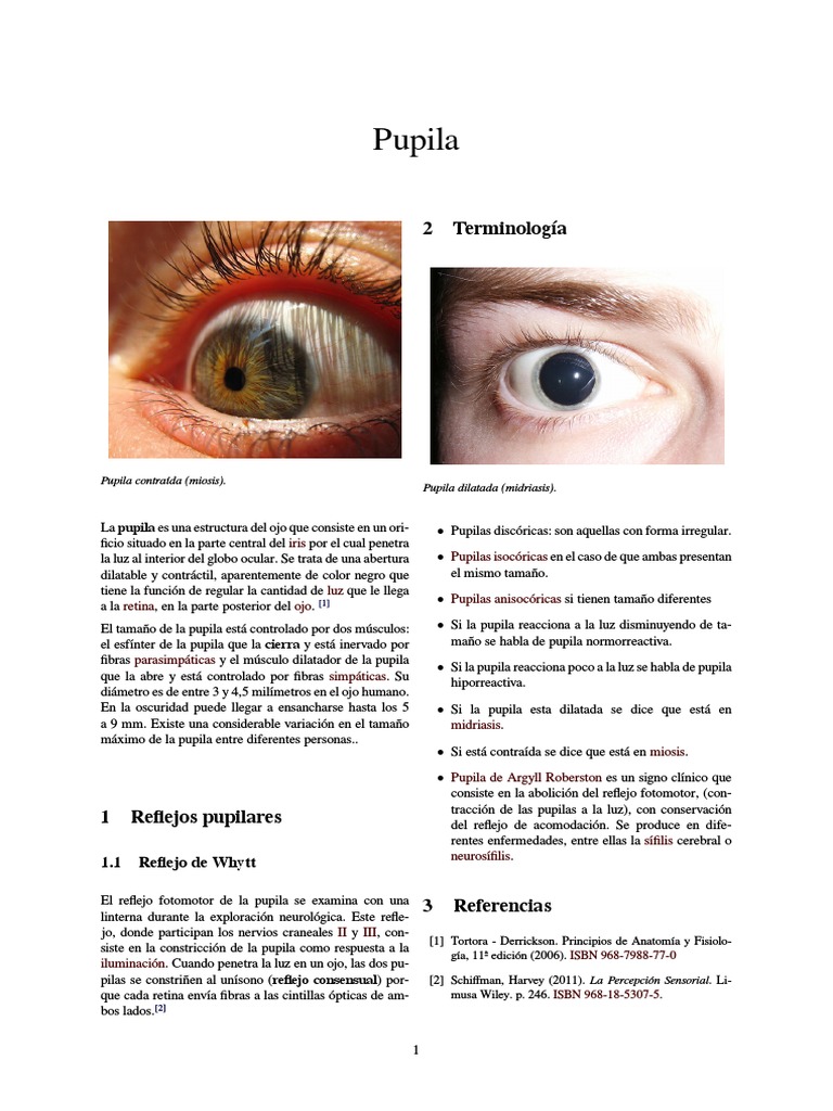Pupila | PDF | Ojo humano | Cabeza y cuello humanos