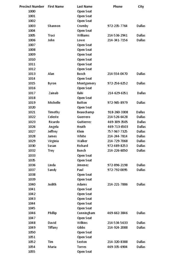 Precinct Chairs | PDF