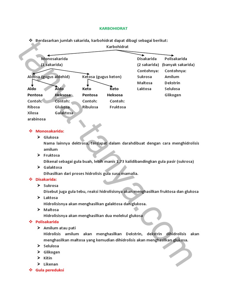Rangkuman Makromolekul | PDF | Sains & Matematika