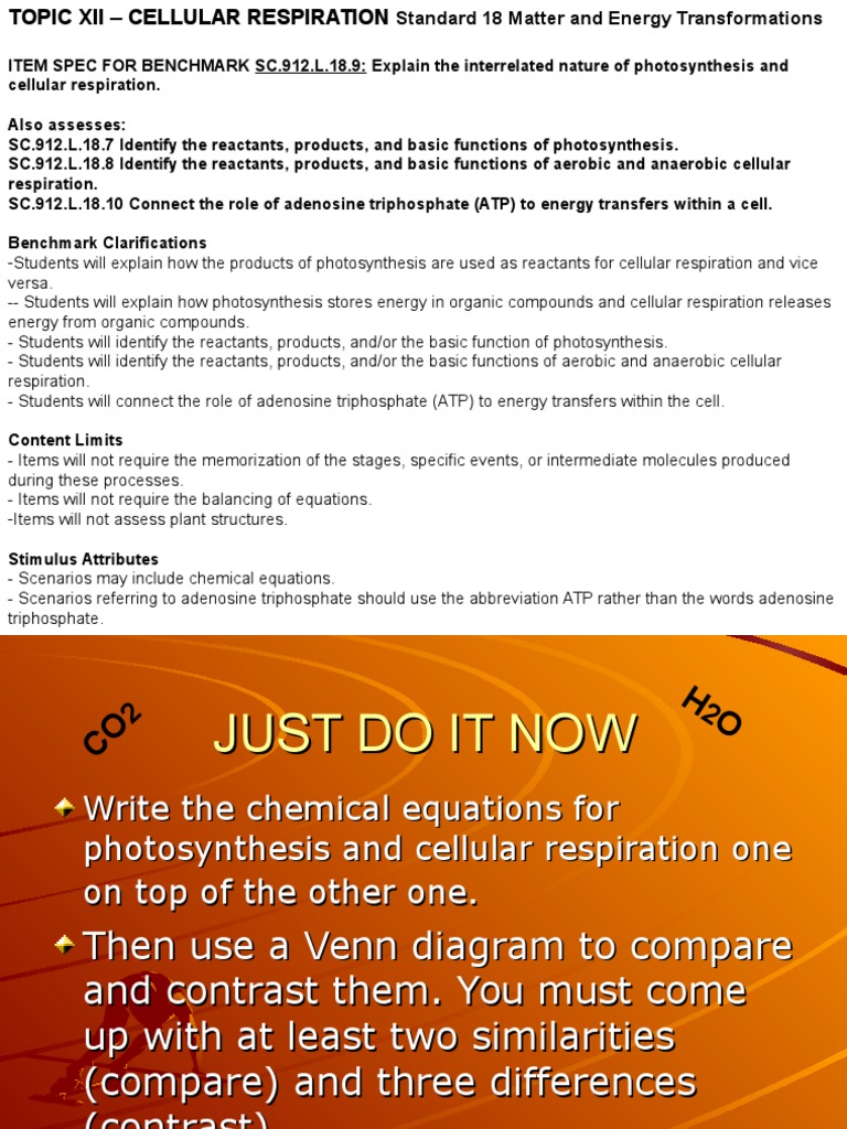 Photosynthesis & Cellular Respiration Guide | PDF | Cellular ...