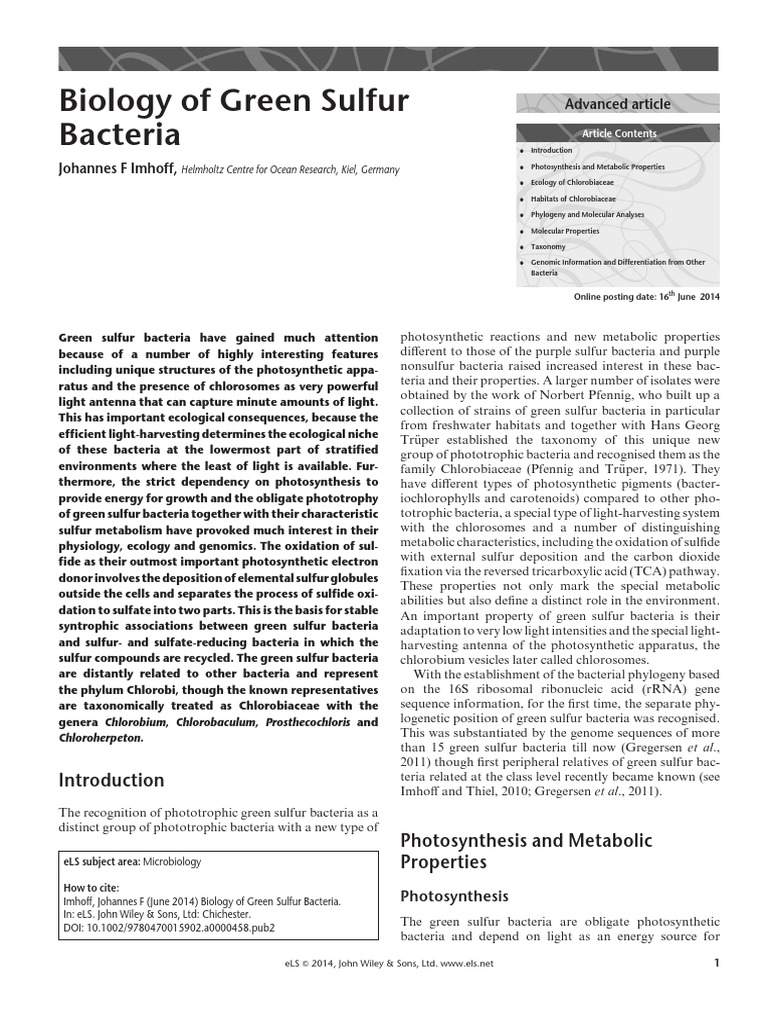 Biology of Green Sulfur Bacteria | Bacteria | Photosynthesis