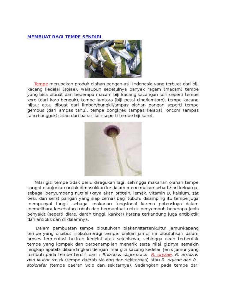 Cara Membuat Ragi Tempe Sendiri | PDF | Memasak, Makanan, & Anggur
