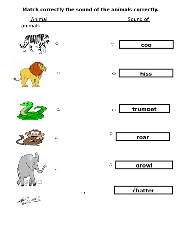 Animal Sounds Matching Worksheet | PDF