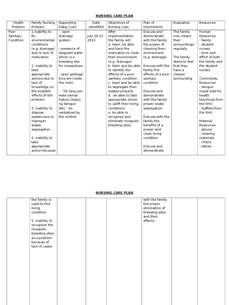 CHN NCP Group 1 Docx Final Promise | PDF | Hygiene | Nutrition