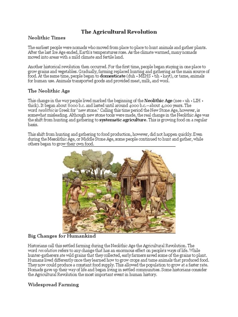 the agricultural revolution | Neolithic | Agriculture