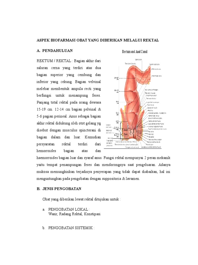Aspek Biofarmasi Obat Yang Diberikan Melalui Rektal | PDF