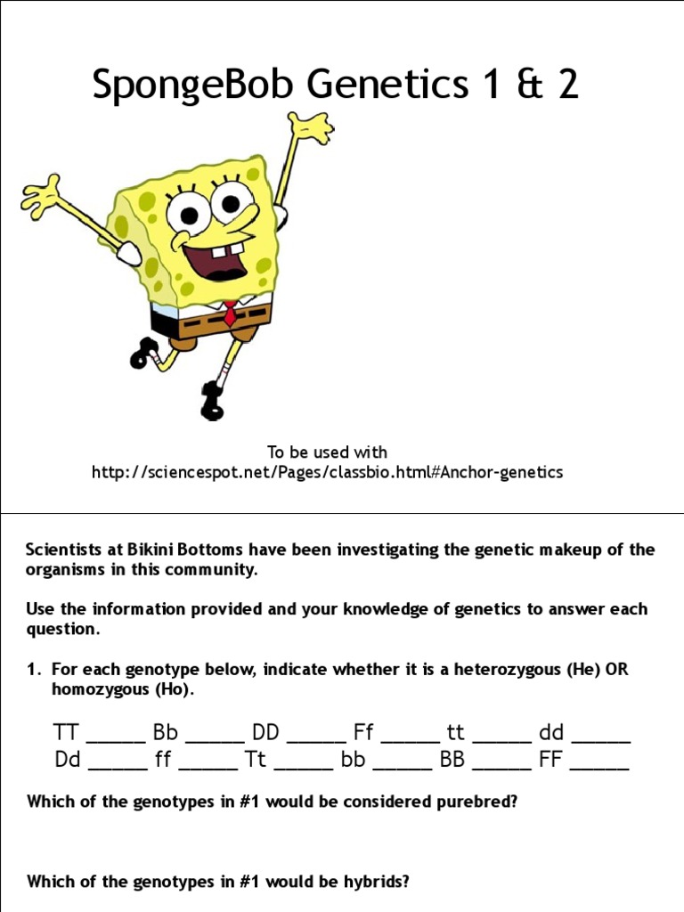Spongebobgenetics | PDF | Dominance (Genetics) | Genotype