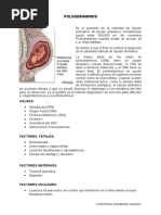 Diferencias Nulípara, Primípara y Multípara | PDF | Parto | El embarazo