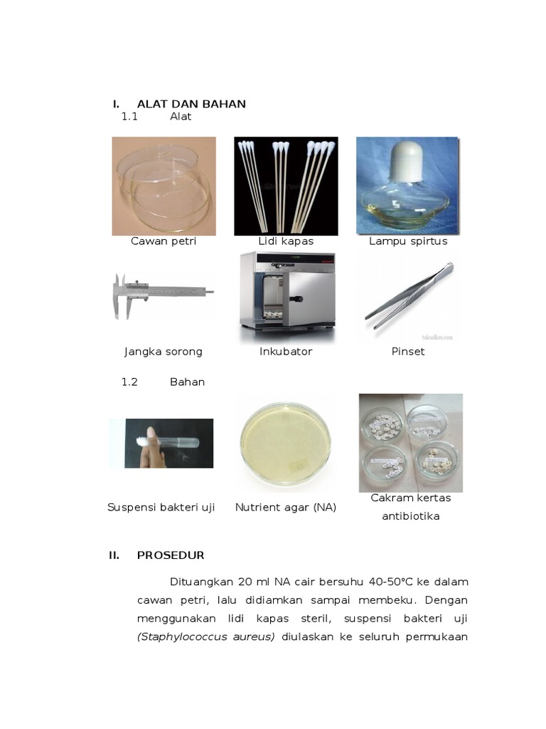 Uji Antibiotik pada Bakteri | PDF | Ilmu Sosial | Kesehatan Holistik