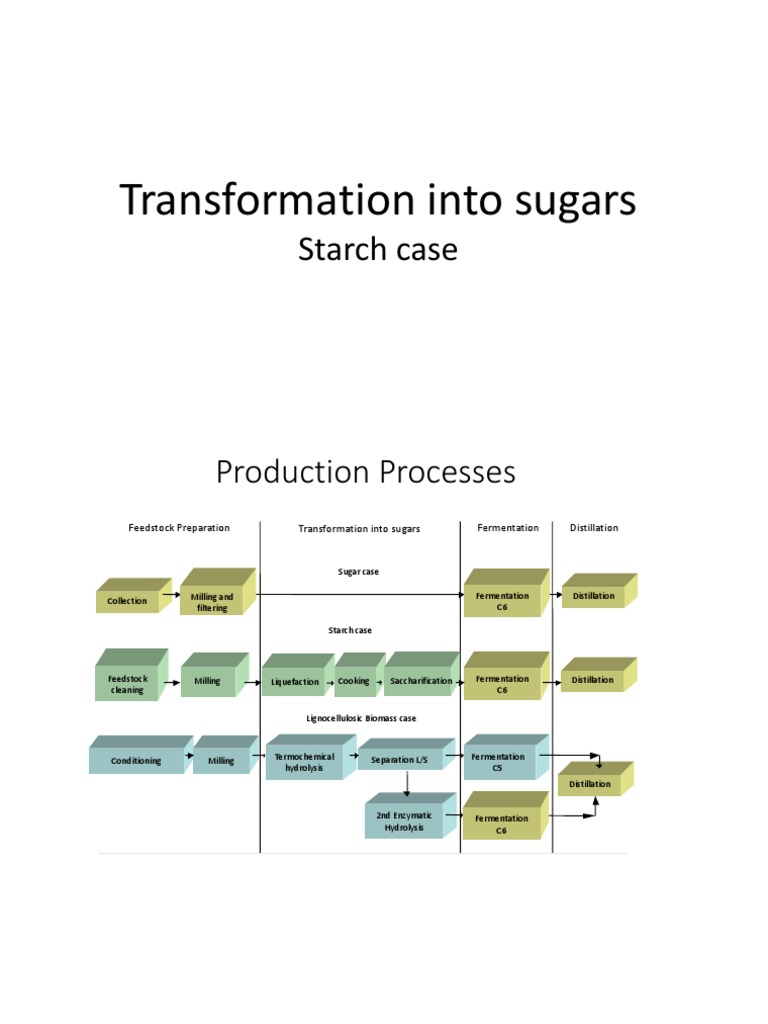 6. Enzymatic Starch Hydrolysis | Starch | Hydrolysis