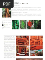 Características y usos del matapalo | PDF | Arboles | Hoja