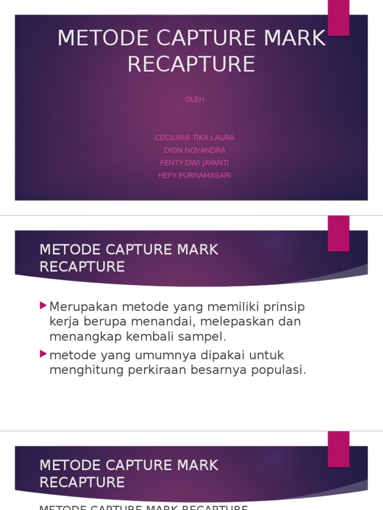 Metode Capture Mark Recapture Pdf