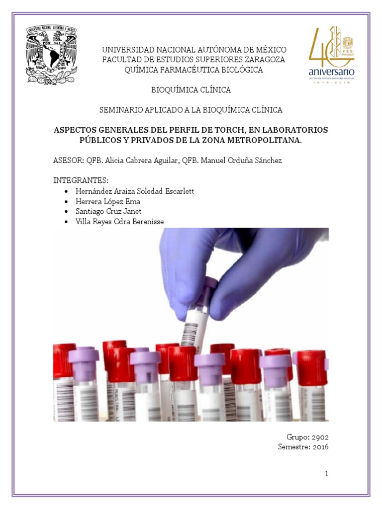 Perfil Torch | PDF | Elisa | Anticuerpo