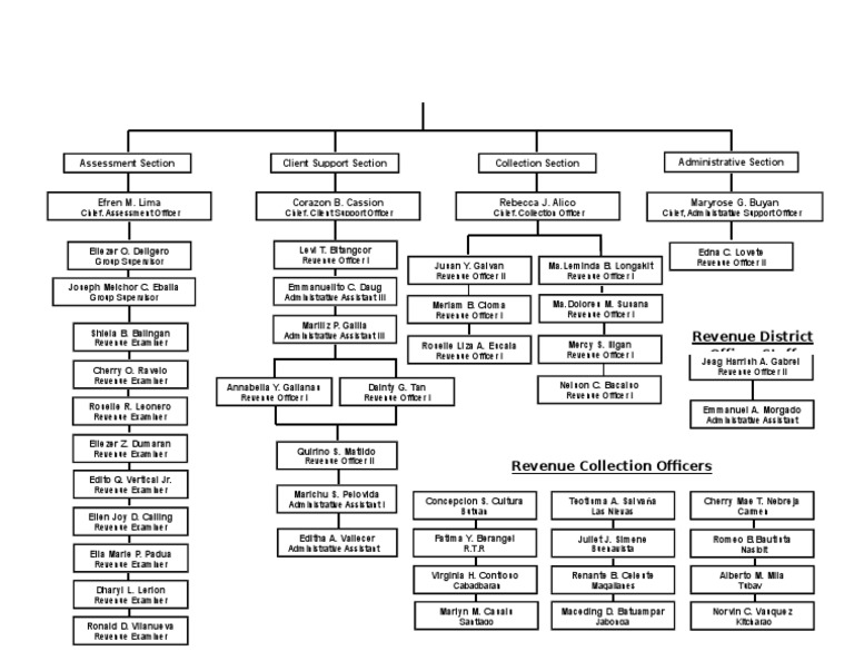 BIR Organizational Chart