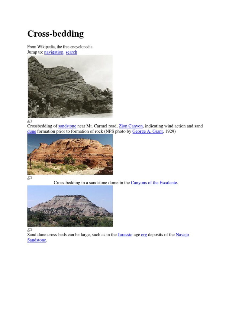 Cross Bedding | PDF | Earth Sciences | Sedimentology