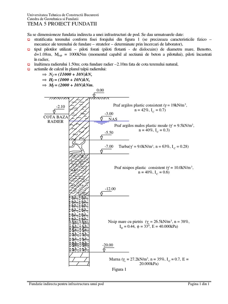 Exemplu de Calcul Piloti - Gabi PDF | PDF