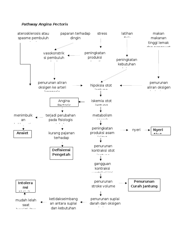 Pathway Angina Pectoris | PDF