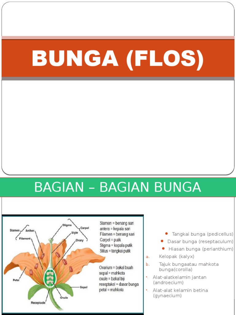 Bunga (Flos) | PDF
