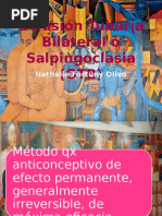 Colpoperineoplastia: Técnica y Procedimiento | PDF