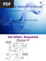 Técnicas de Cecostomía y Colostomía | PDF | Intestino grueso | Abdomen