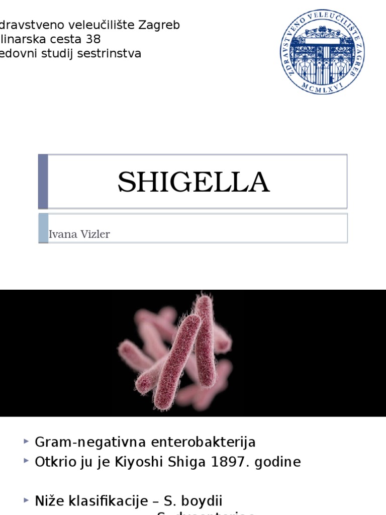 Shigella | PDF