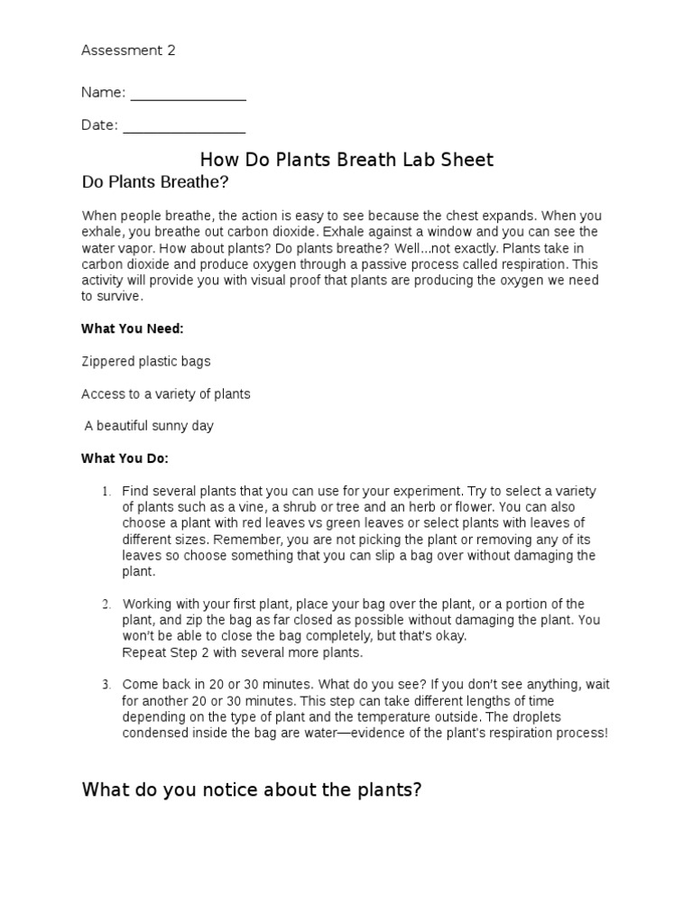 How Do Plants Breath Lab Sheet | PDF