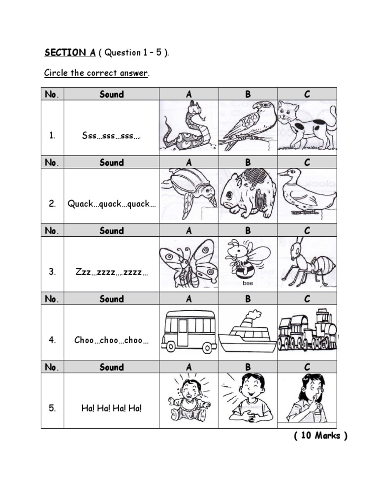 English Test Year 1 Mac 2015 | PDF
