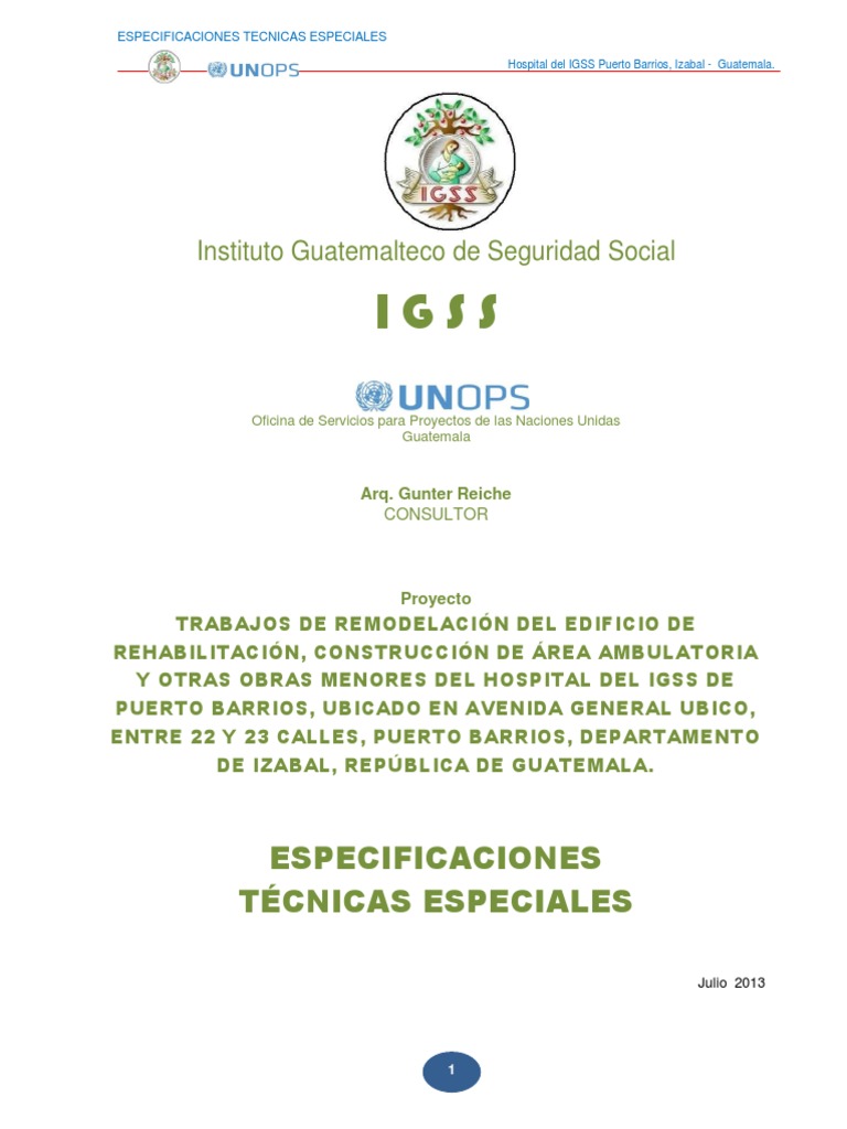 Especificaciones Tecnicas Especiales 29072013 | PDF | Pintar | Cemento