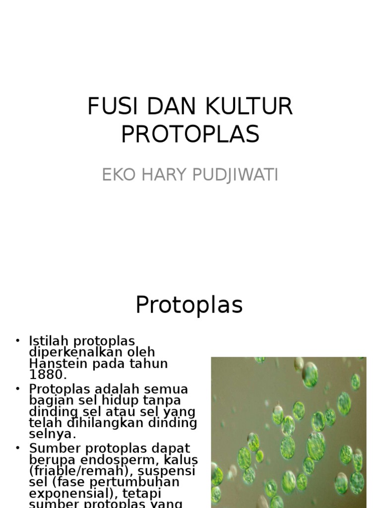 9isolasi Dan Fusi Protoplas | PDF | Kesehatan Holistik