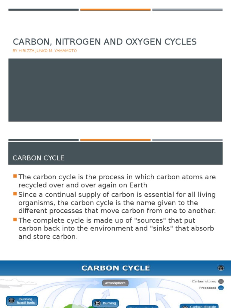 Carbon, Nitrogen and Oxygen Cycles | PDF | Oxygen | Atmosphere Of Earth