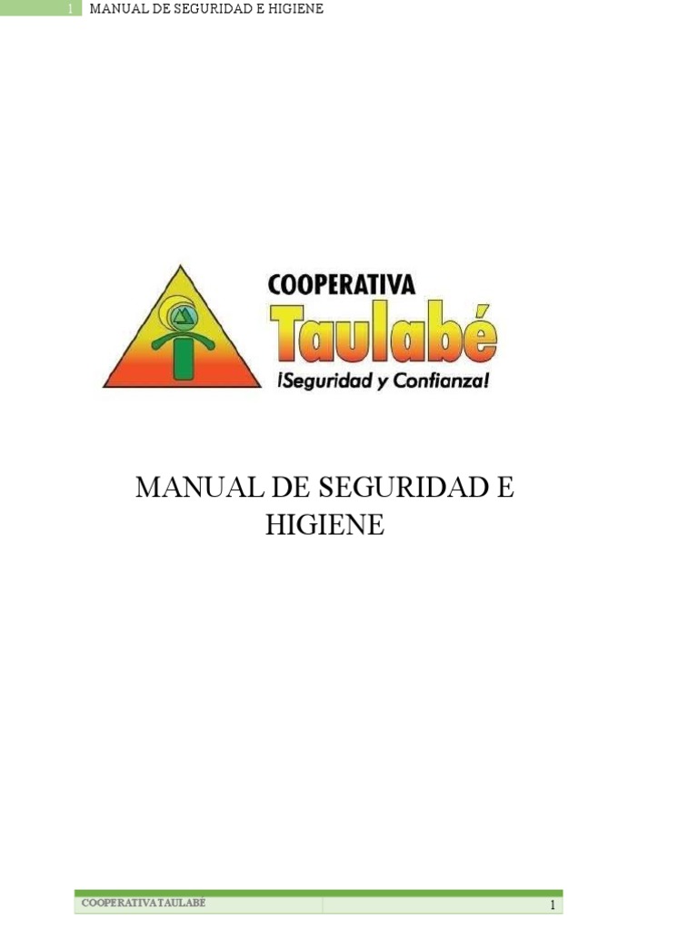 Manual Seguridad e Higiene Laboral | PDF | La seguridad | Seguridad y salud ocupacional